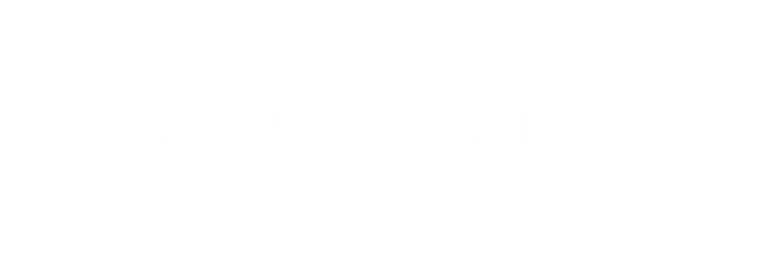 IMPULSE UNIVERSE Merch – IMPULSE UNIVERSE INC